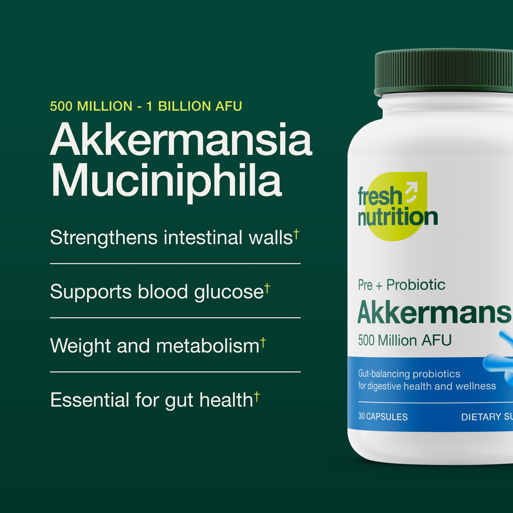 Akkermansia High Potency – Fresh Nutrition
